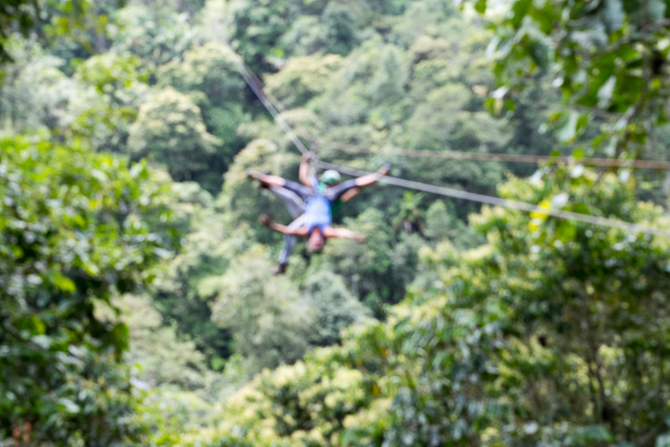 Ziplining, Butterflies, and Chocolate: Two Nights in Mindo - Trailing ...