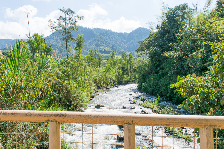 Ziplining, Butterflies, and Chocolate: Two Nights in Mindo - Trailing ...